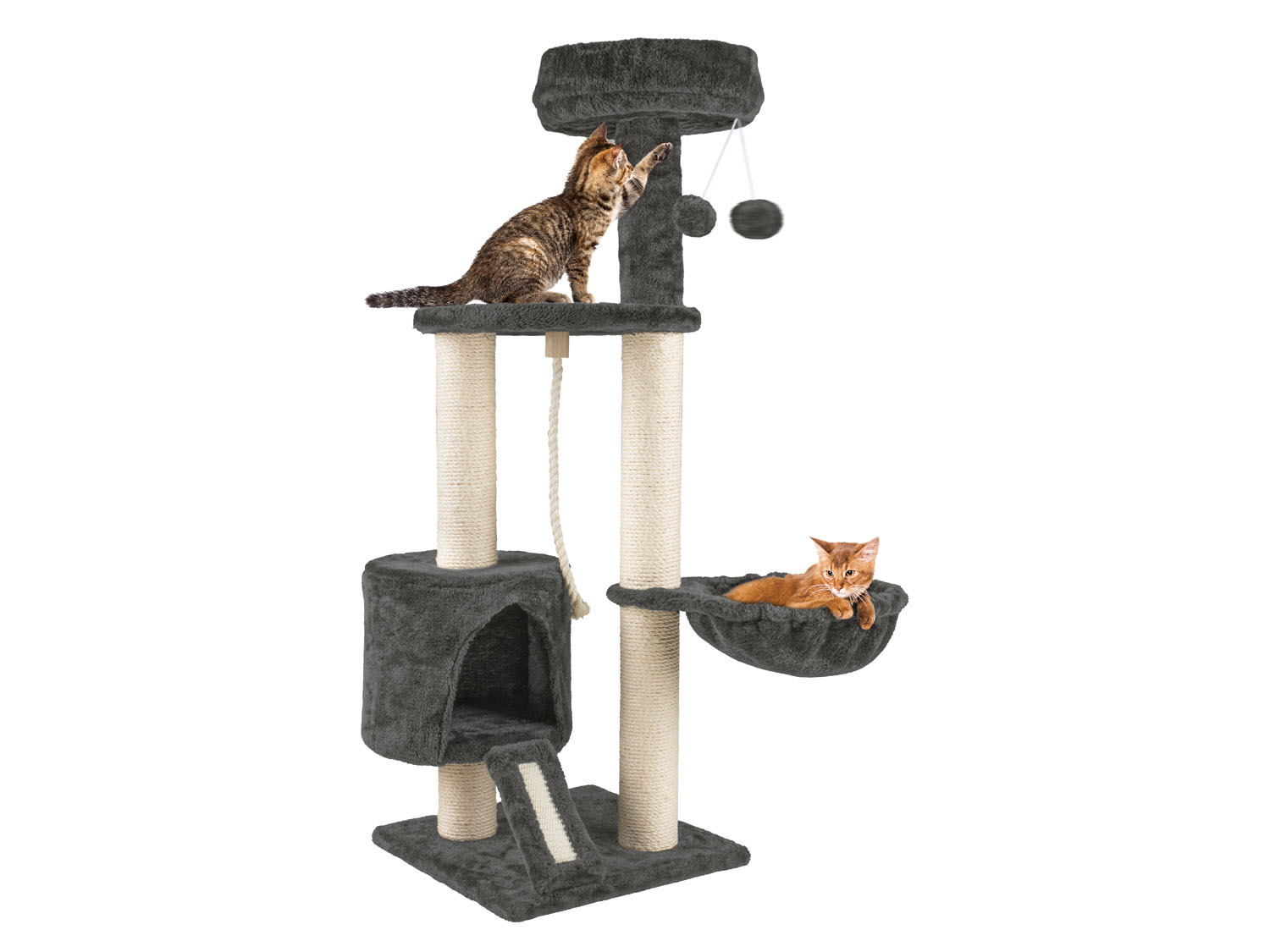 zoofari® Arbre à chat Acheter en ligne | LIDL