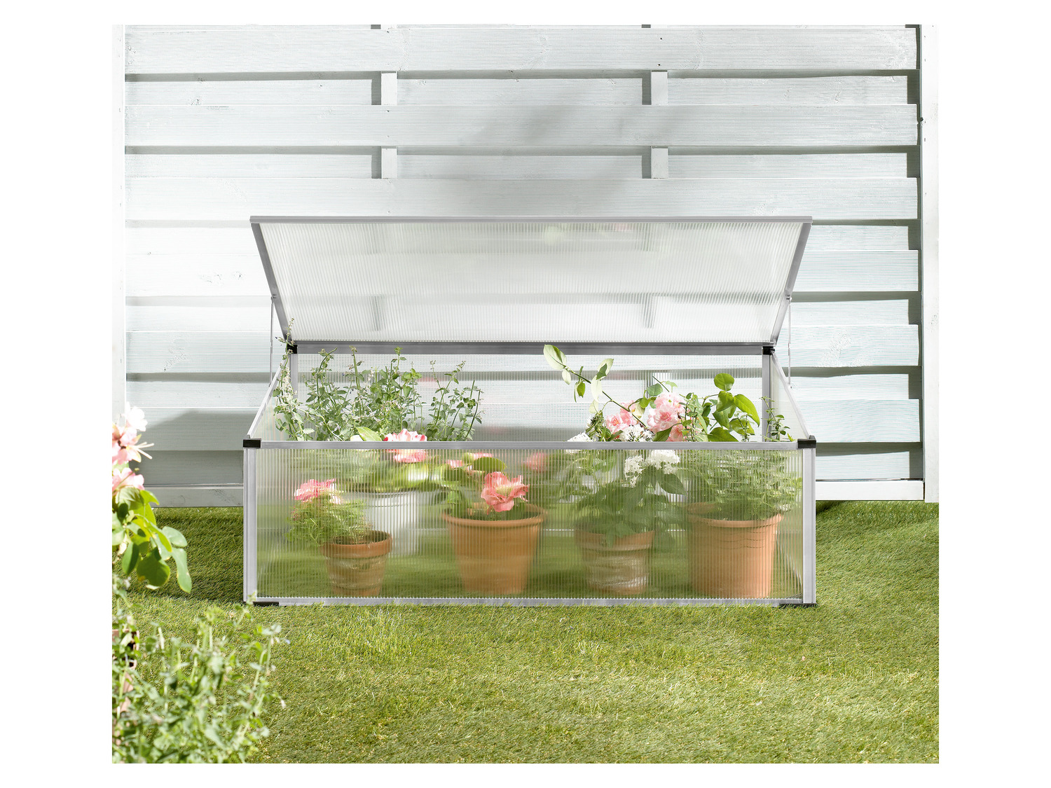 Mini-serre de jardin Acheter en ligne | LIDL