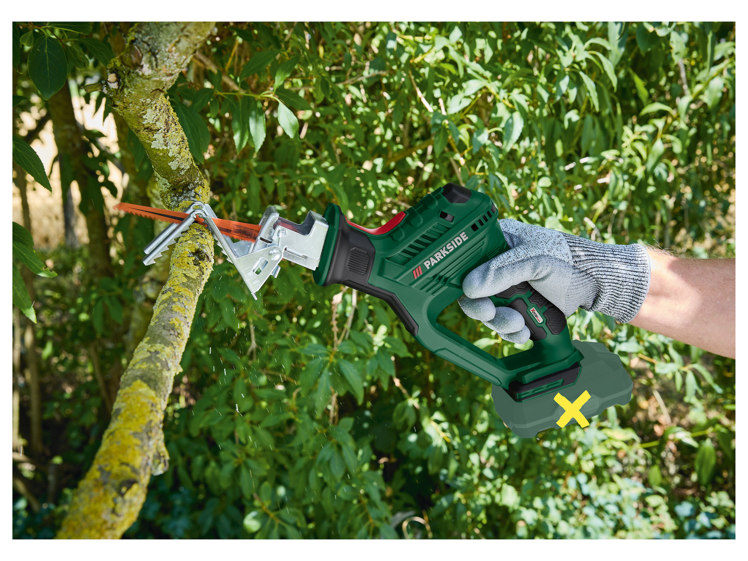 Coupe-branches sans fil 20 V Acheter en ligne | LIDL