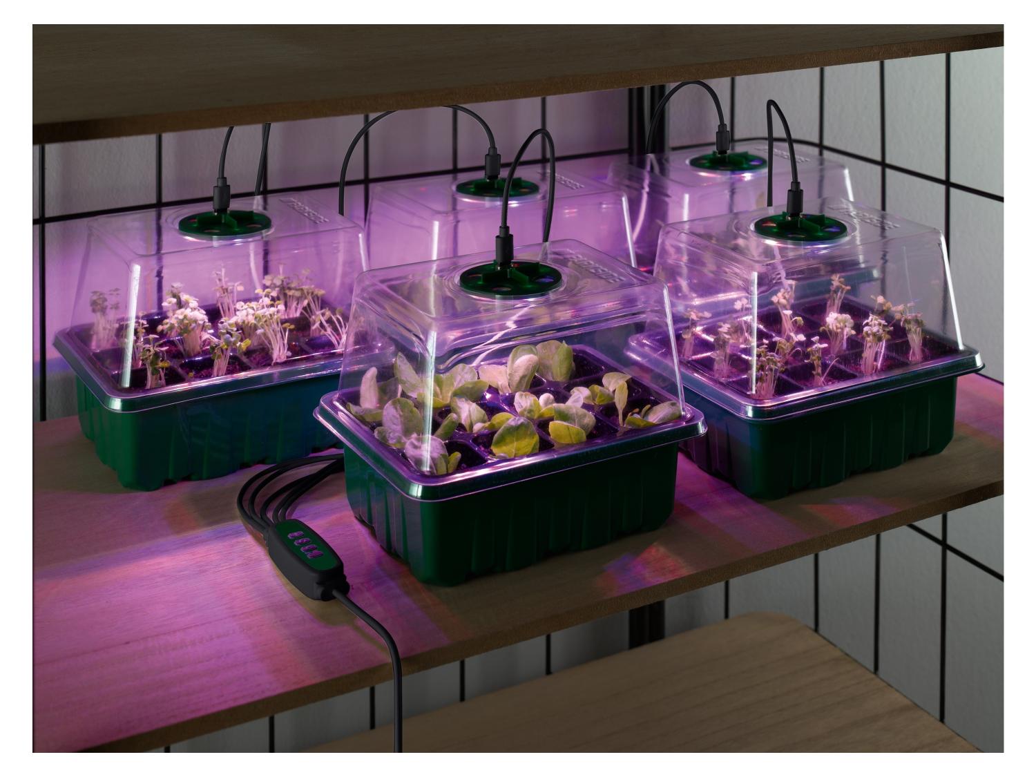 Mini-serres ou mini-serres à LED | LIDL