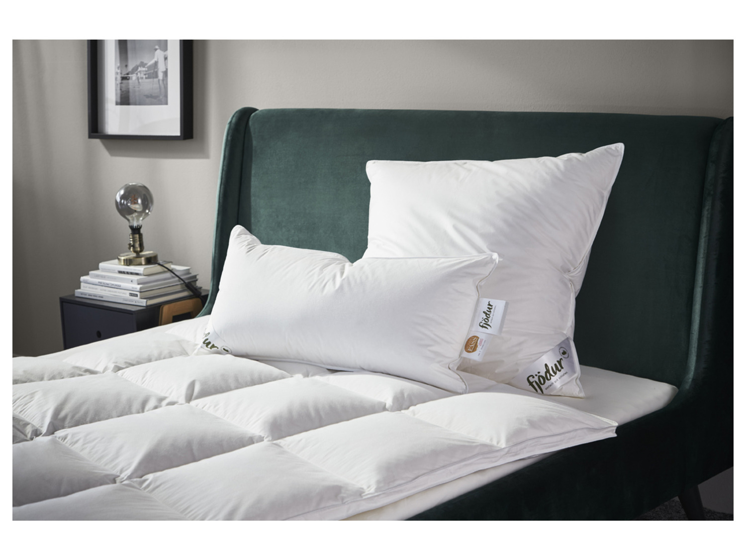 Oreiller de luxe en plumes d'oie et duvet | LIDL
